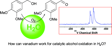 Synergistic effect of vanadium–phosphorus promoted oxidation of ...