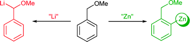 Structural elaboration of the surprising ortho-zincation of benzyl ...