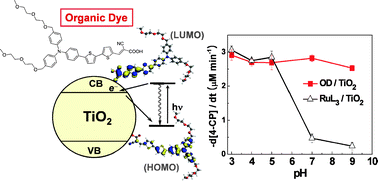 Organic dye-sensitized TiO2 for the redox conversion of water ...