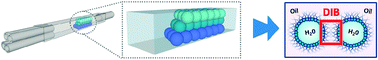 A microfluidic approach for high-throughput droplet interface bilayer ...