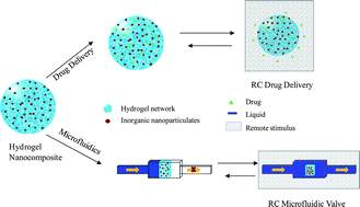Hydrogel nanocomposites: a review of applications as remote controlled ...