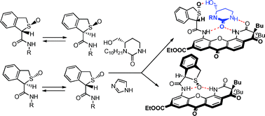 Synthesis of a chiral artificial receptor with catalytic activity in ...