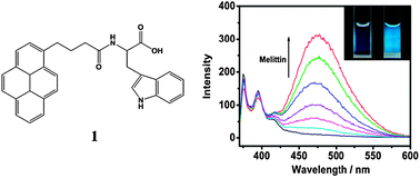 A unique protein labeling system based on melittin and the non-covalent ...