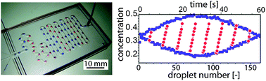 High-throughput automated droplet microfluidic system for screening of ...