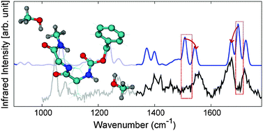 Conformations and vibrational spectra of a model tripeptide: change of ...