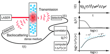 Diffusing-wave spectroscopy study of microscopic dynamics of three ...