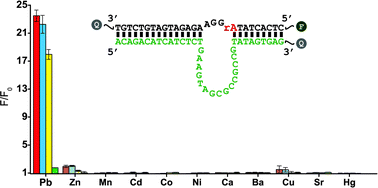 A highly selective lead sensor based on a classic lead DNAzyme ...