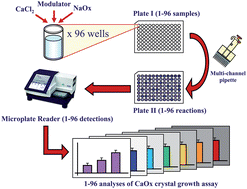 Establishment of a novel colorimetric assay for high-throughput ...