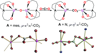 Insights into the mechanism of carbonate formation through reductive ...