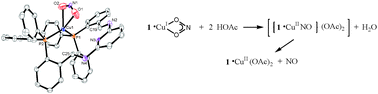 Coordination of NO2− ligand to Cu(i) ion in an O,O-bidentate fashion ...