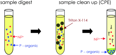 Cloud point extraction to avoid interferences by structured background ...