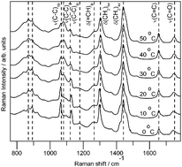 Raman spectroscopic prediction of the solid fat content of New Zealand ...