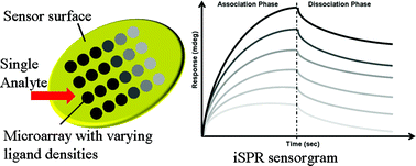 Single injection microarray-based biosensor kinetics - Analytical ...