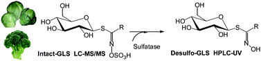 Glucosinolates, structures and analysis in food - Analytical Methods ...