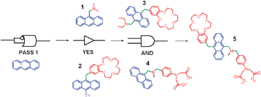 From PASS 1 to YES to AND logic: building parallel processing into ...