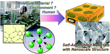 By what means should nanoscaled materials be constructed: molecule ...