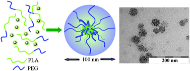 Preparation, stability and cytocompatibility of magnetic/PLA-PEG ...