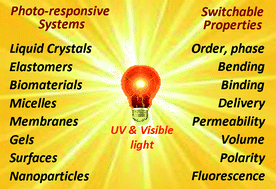 Photo-responsive systems and biomaterials: photochromic polymers, light ...