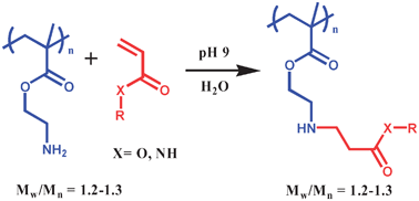 Synthesis of well-defined primary amine-based homopolymers and block ...