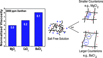 The effect of counterion size and valency on the increase in viscosity ...