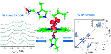 Revisiting the nitrosyl complex of myoglobin by high-field pulse EPR ...