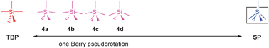 Four independent structures of a pentacoordinate silicon species at different points on the ...