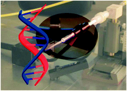 DNA strand scission induced by a non-thermal atmospheric pressure ...
