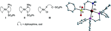 Synthesis, characterization and structures of cyclic organorhodium ...