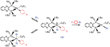 Aryl-bromide reductive elimination from an isolated Pt(iv) complex ...