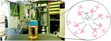 The solvation of nitroxide radicals in ionic liquids studied by high ...