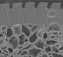 Synthesis and characterization of a biodegradable elastomer featuring a ...