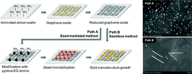 The direct growth of gold rods on graphene thin films - Chemical ...