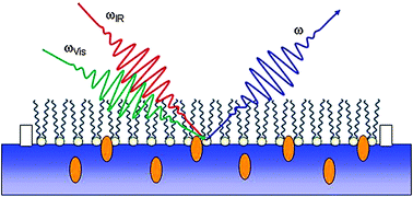 Characterisation of the membrane affinity of an isoniazide peptide conjugate by tensiometry ...
