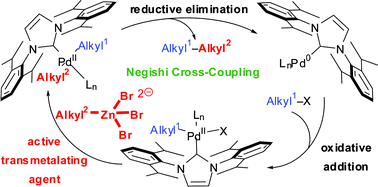 On the role of additives in alkyl–alkyl Negishi cross-couplings ...