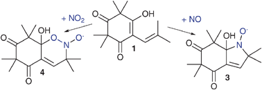 5-Hydroxy-2,2,6,6-tetramethyl-4-(2-methylprop-1-en-yl)cyclohex-4-ene-1 ...