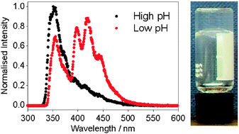 Energy transfer in self-assembled dipeptide hydrogels - Chemical ...