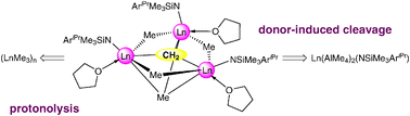 Amido-stabilized rare-earth metal mixed methyl methylidene complexes ...