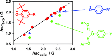 Hydrogen hyperfine splitting constants for phenoxyl radicals by DFT ...