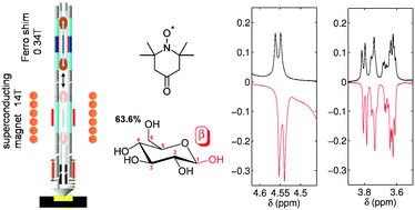 Shuttle DNP spectrometer with a two-center magnet - Physical Chemistry ...
