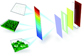 Microfluidic dissolved oxygen gradient generator biochip as a useful ...