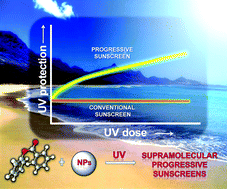 Topical and systemic photoprotection - Photochemical & Photobiological ...