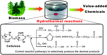 Rapid and highly selective conversion of biomass into value-added ...
