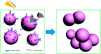 Insights into the roles of organic coating in tuning the defect ...