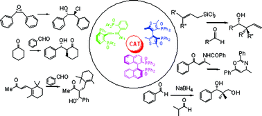 Chiral phosphine oxides in present-day organocatalysis - Organic ...