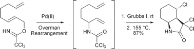 A three-step tandem process for the synthesis of bicyclic γ-lactams ...