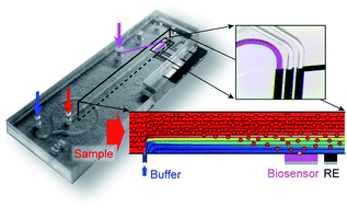 Continuous-flow multi-analyte biosensor cartridge with controllable ...
