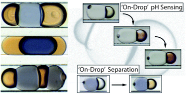 Ionic liquid-based compound droplet microfluidics for ‘on-drop ...