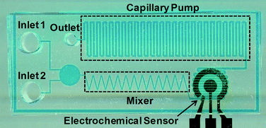 A self-pumping lab-on-a-chip for rapid detection of botulinum toxin ...