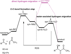 Computational investigation on the mechanism and the stereoselectivity ...