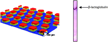 Micropillar array chips toward new immunodiagnosis - Lab on a Chip (RSC ...